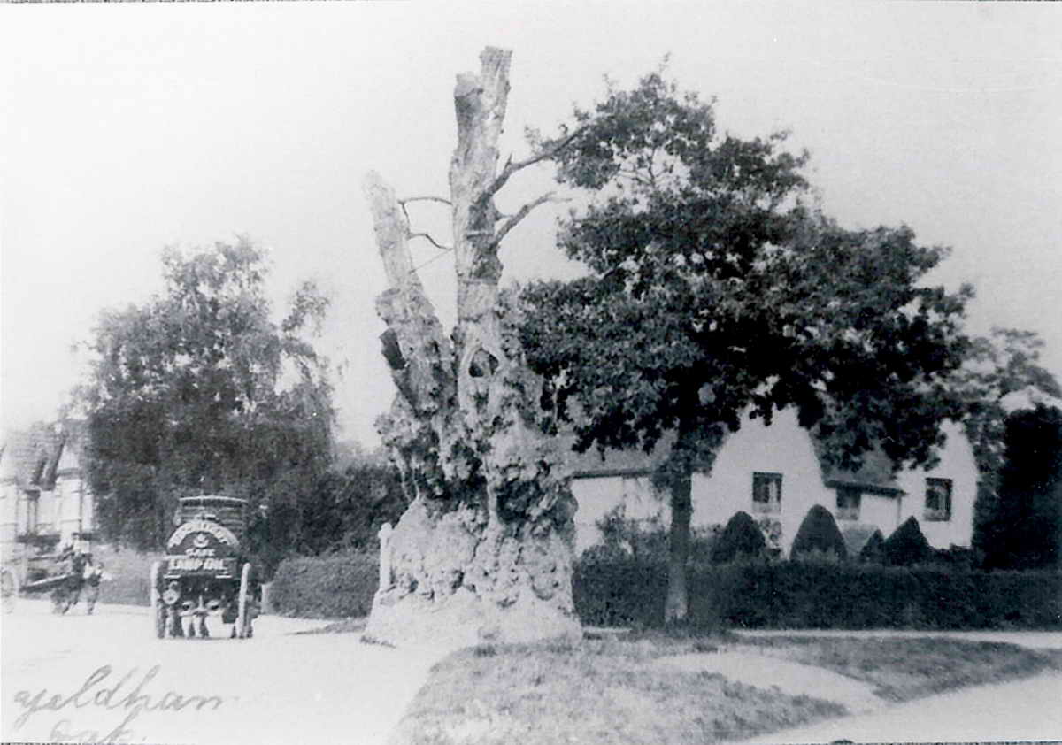 Martin Brookes Oakham: John A Ince Great Yeldham Essex 19th April 2017 ...