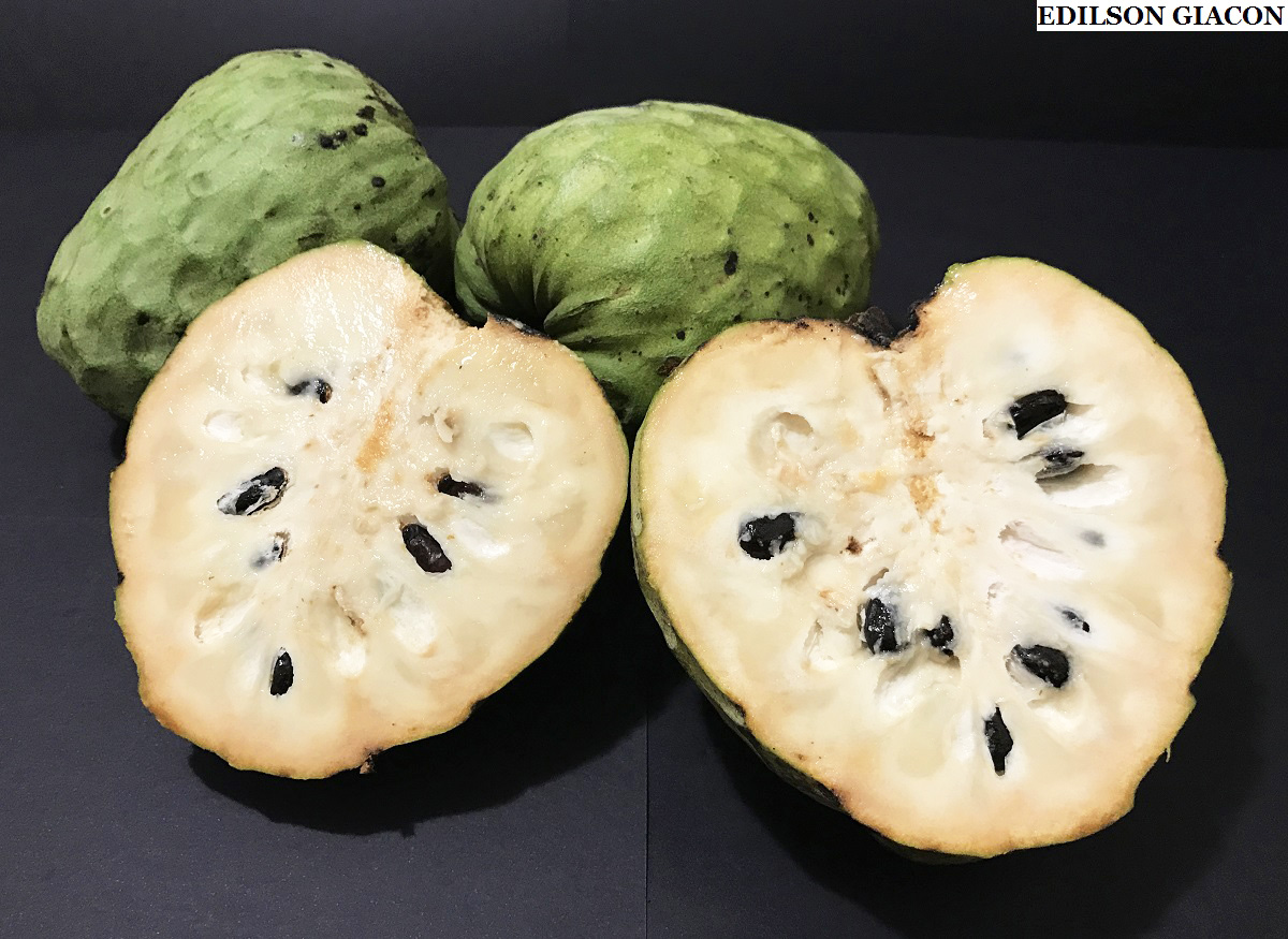 Fruta De Anona at Margaret Swan blog