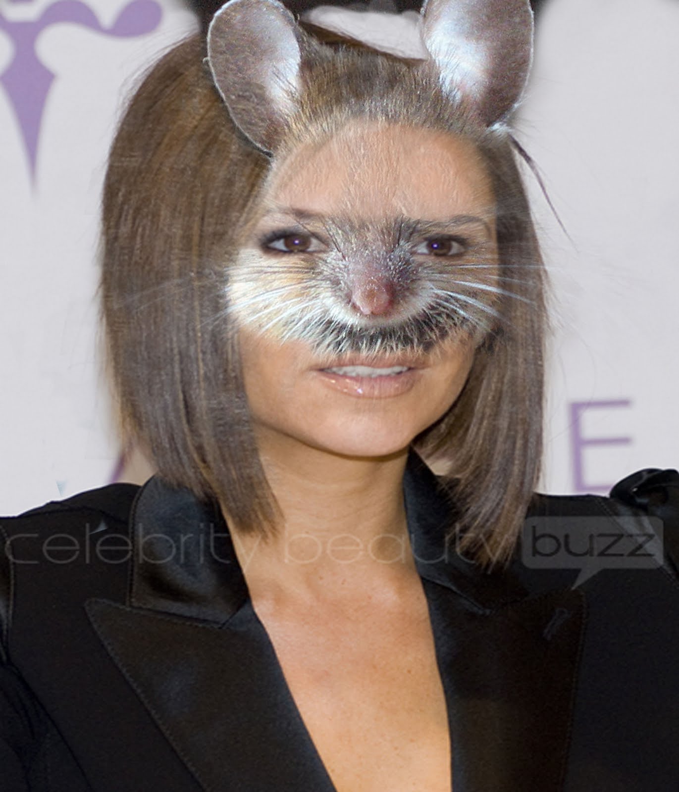 Ashrafzadeh Shiva: Week 10- Project #6 Celebrity-Animal Look-Alike