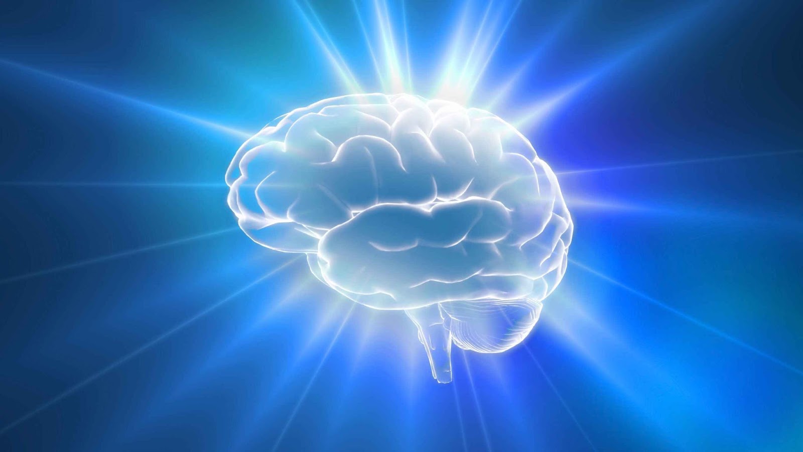Cognitive Science Scope Of Cognitive Science cognitive-science-scope-of-cognitive-science