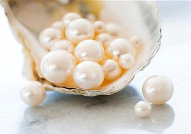 Kerang Mutiara Air Tawar ~ KELOMPOK STUDI KECEBONK UNDIP