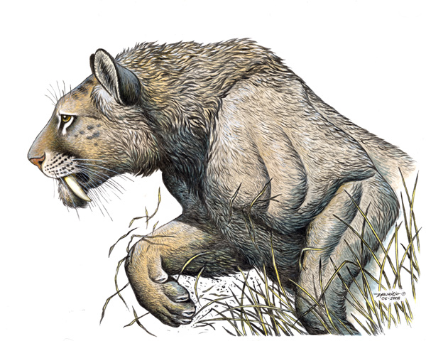 Uma Megafauna brasileira - PaleoPost Brasil - Paleontologia brasileira