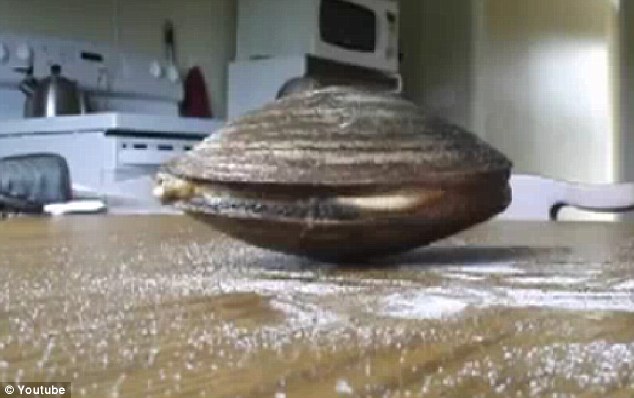 Thai Panda: 'Tis the season? Clam 'licking' salt off a dinner table ...