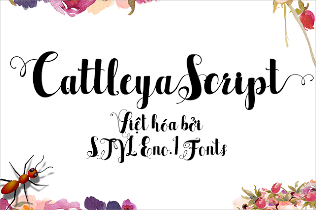 14 Font chữ tuyệt đẹp dành cho Designer - THIẾT KẾ ĐỒ HỌA - ĐAM MÊ VÀ ...