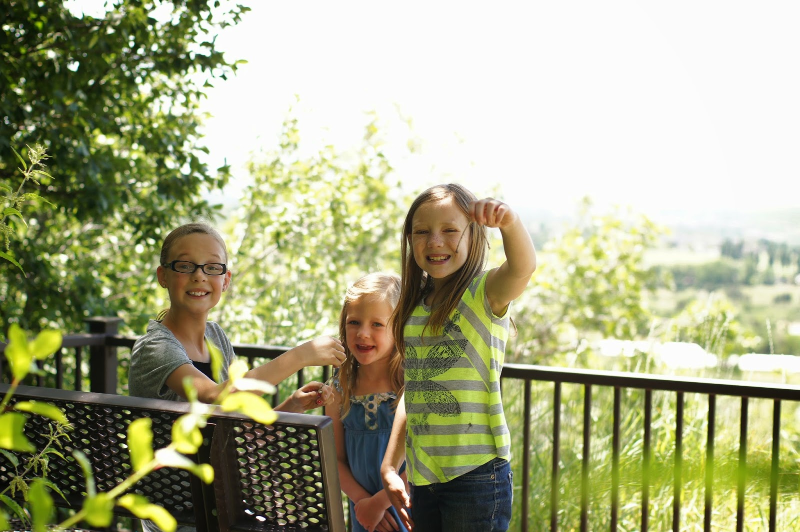 The Maxfield Family Blog