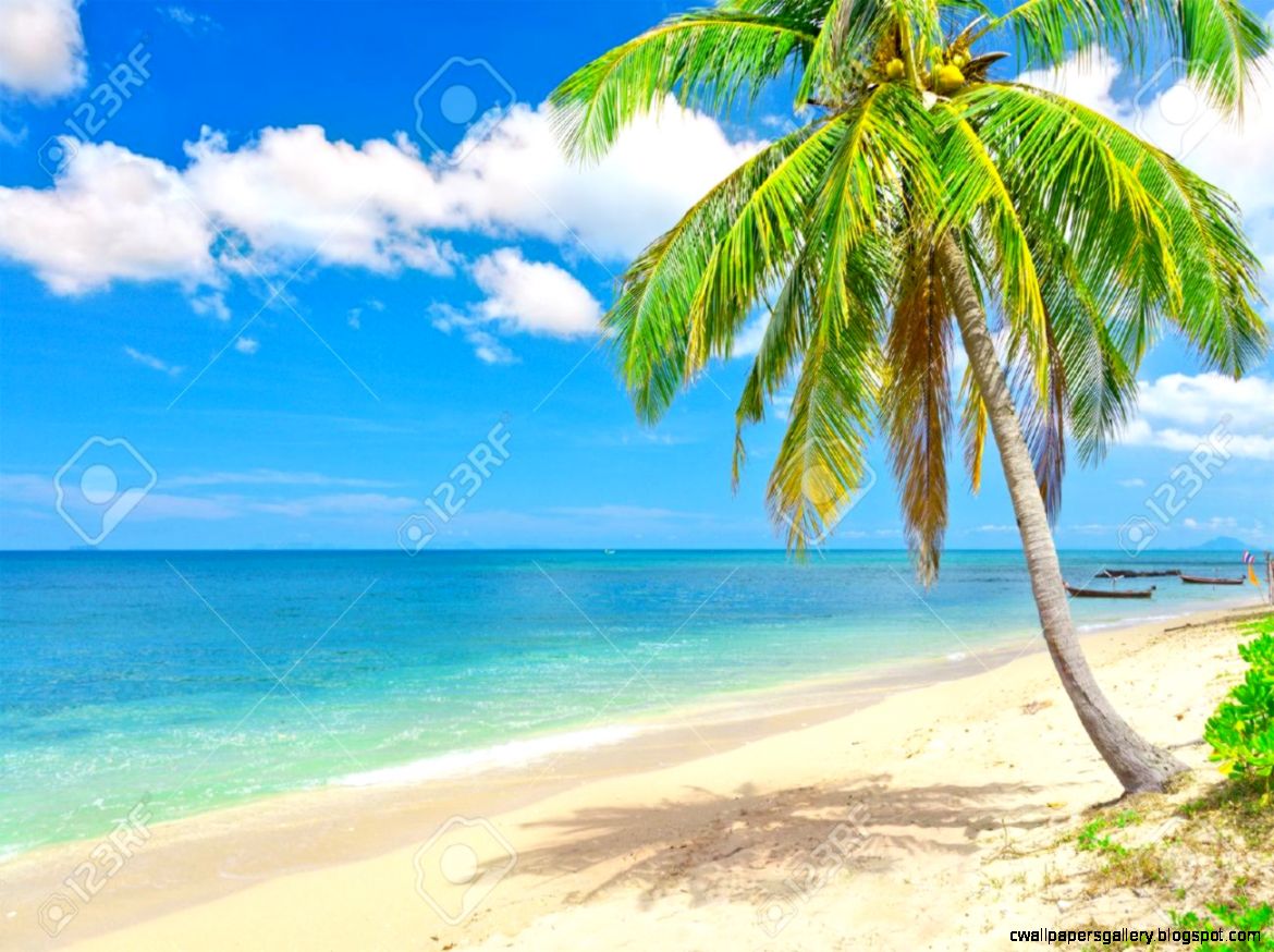 Beach Scenes | Wallpapers Gallery