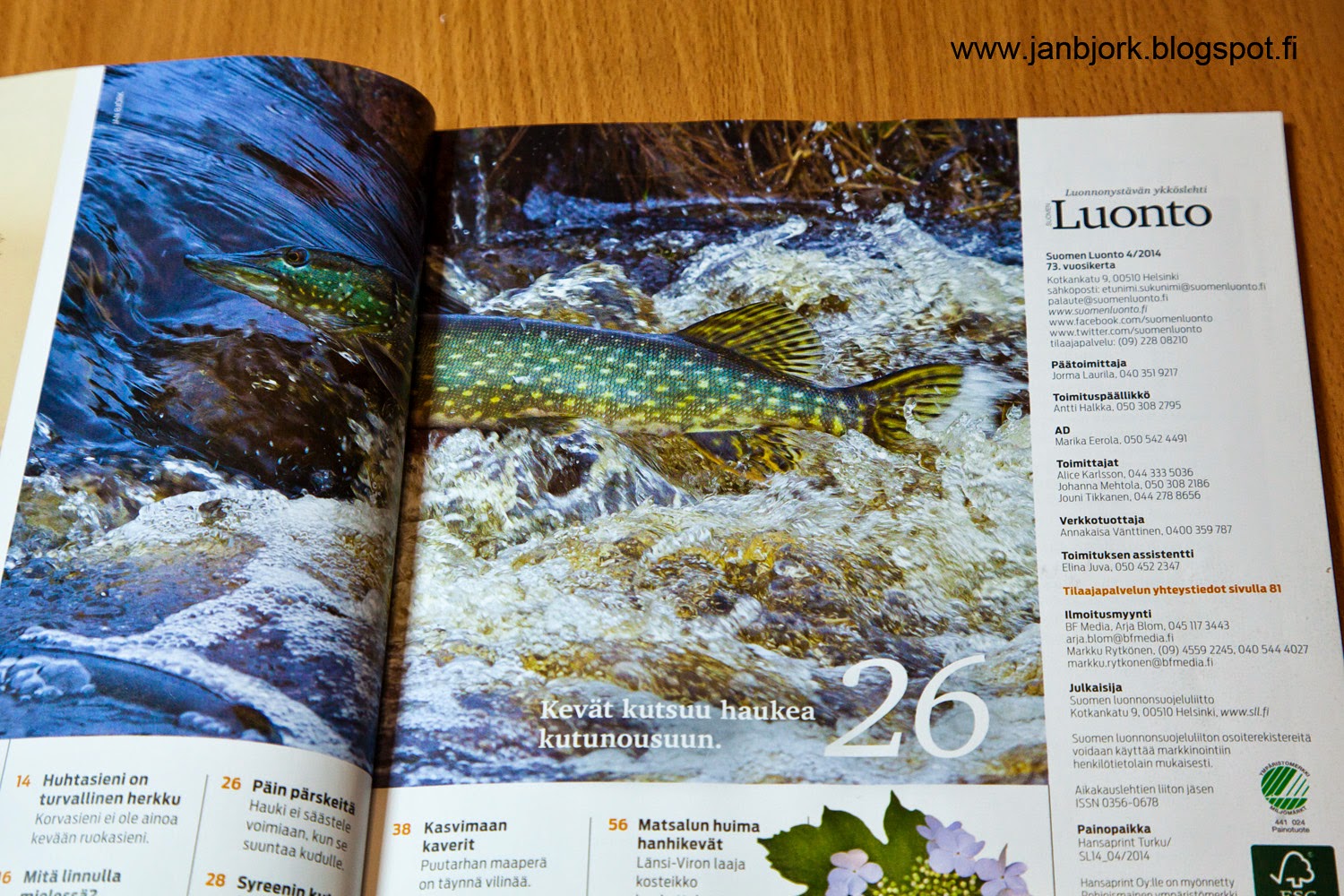 Björk Jan - på vandring med kameran: Suomen luonto lehti julkaisi minun ...