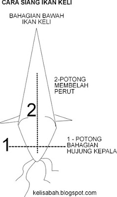 Cara menyiang ikan keli dengan betul | sara pedrosa