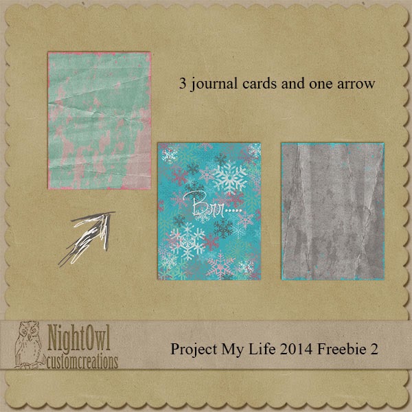 Night Owl Custom Creations: Project Life week 1 and 2 plus freebie