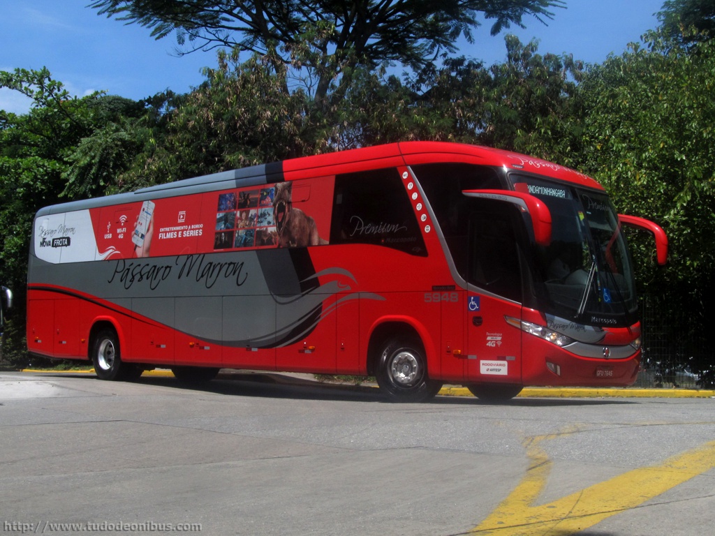 Tudo de Ônibus: Paradiso 1050 - Pássaro Marron