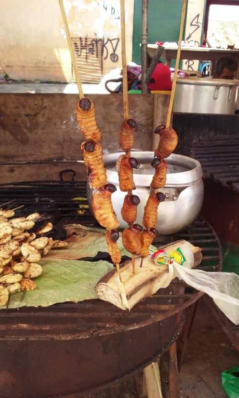 El Suri y el Anticucho de Suri