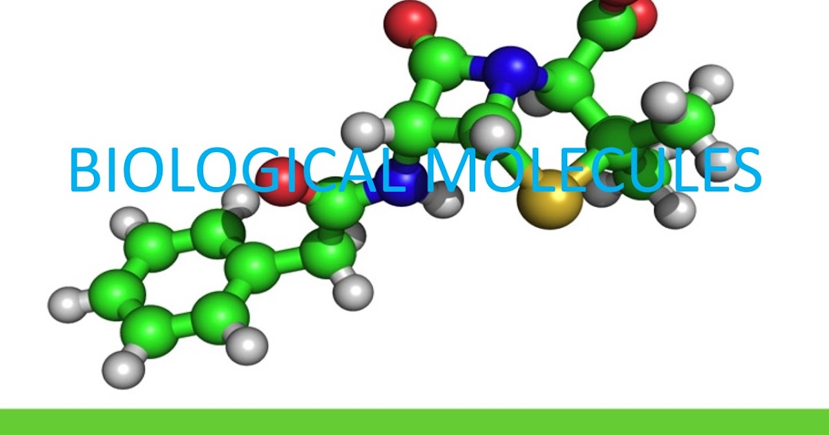 Grade 9: Sem 1 Chapter 4.Biological molecules