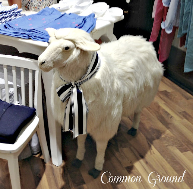 common ground : In sheep's clothing...