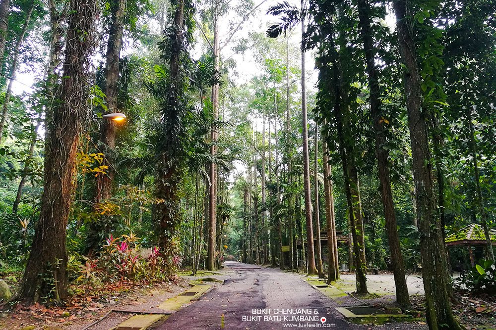 Trans Bukit Chenuang + Batu Kumbang 跨越双峰拥抱 180 度完美视野 - 乐飞翎 ♥ LUVFEELIN