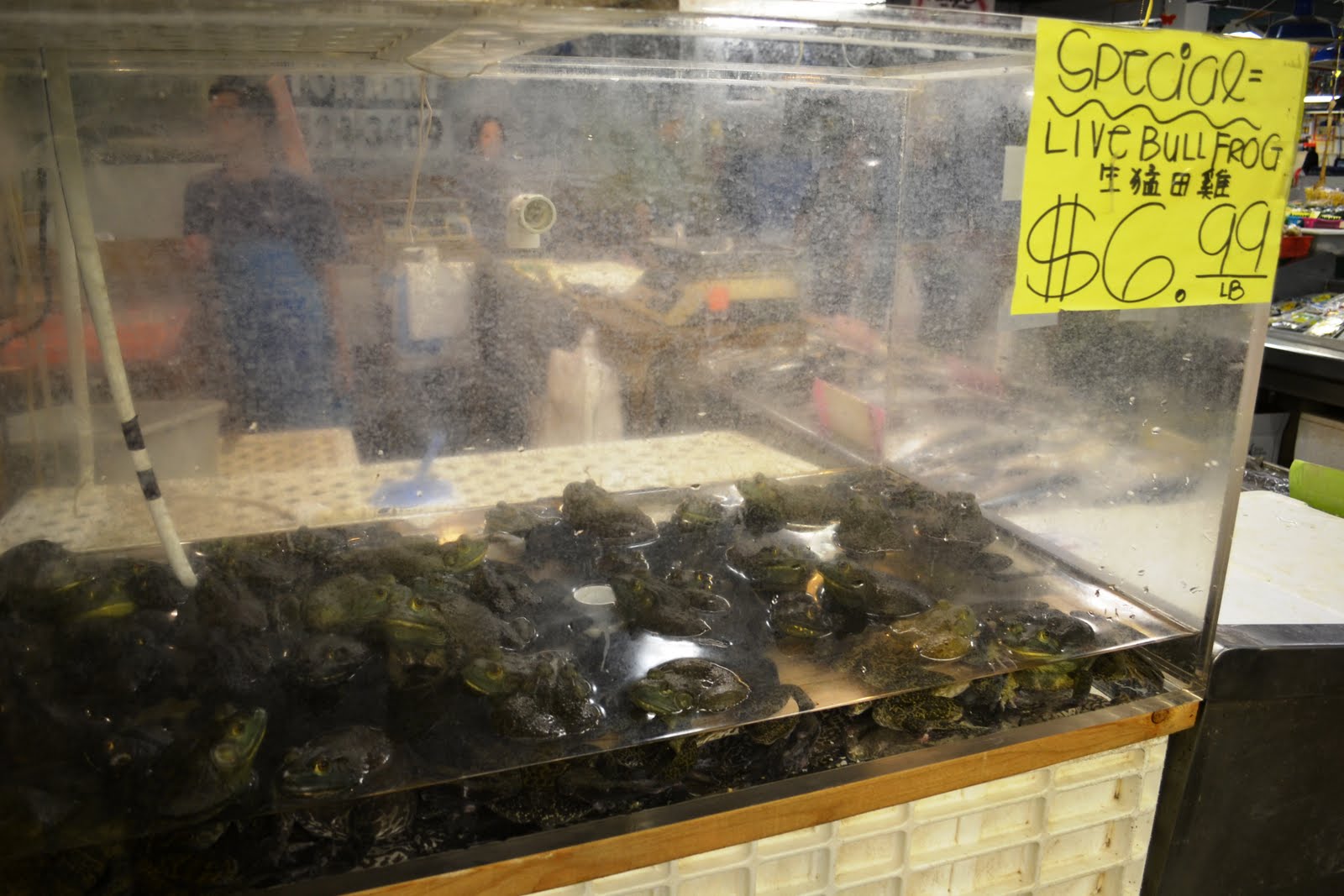 Return-trip to Helsinki: Aloha from Hawaii!