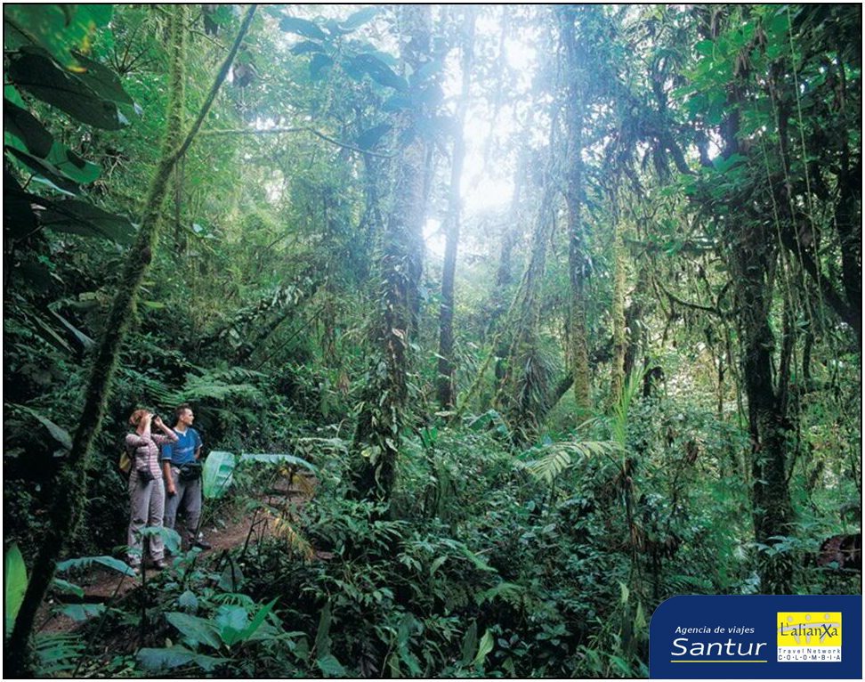 5 RAZONES PARA VISITAR CIUDAD DE PANAMÁ.