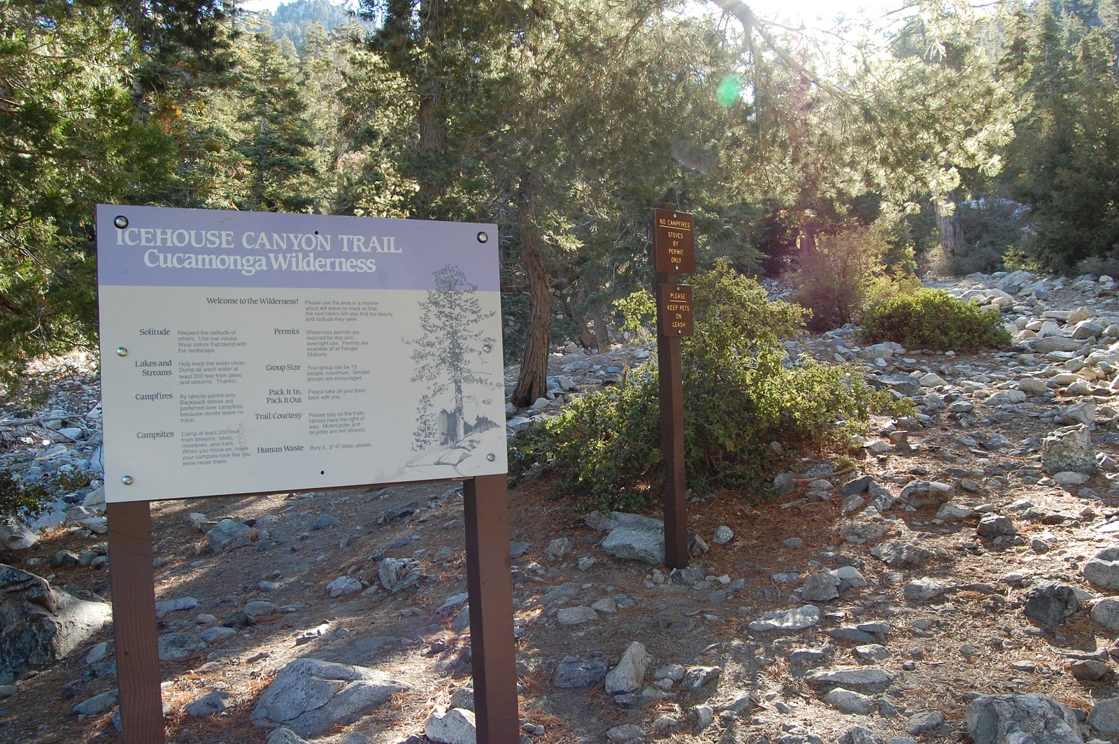 Hiking Timber Mountain | East West Hike