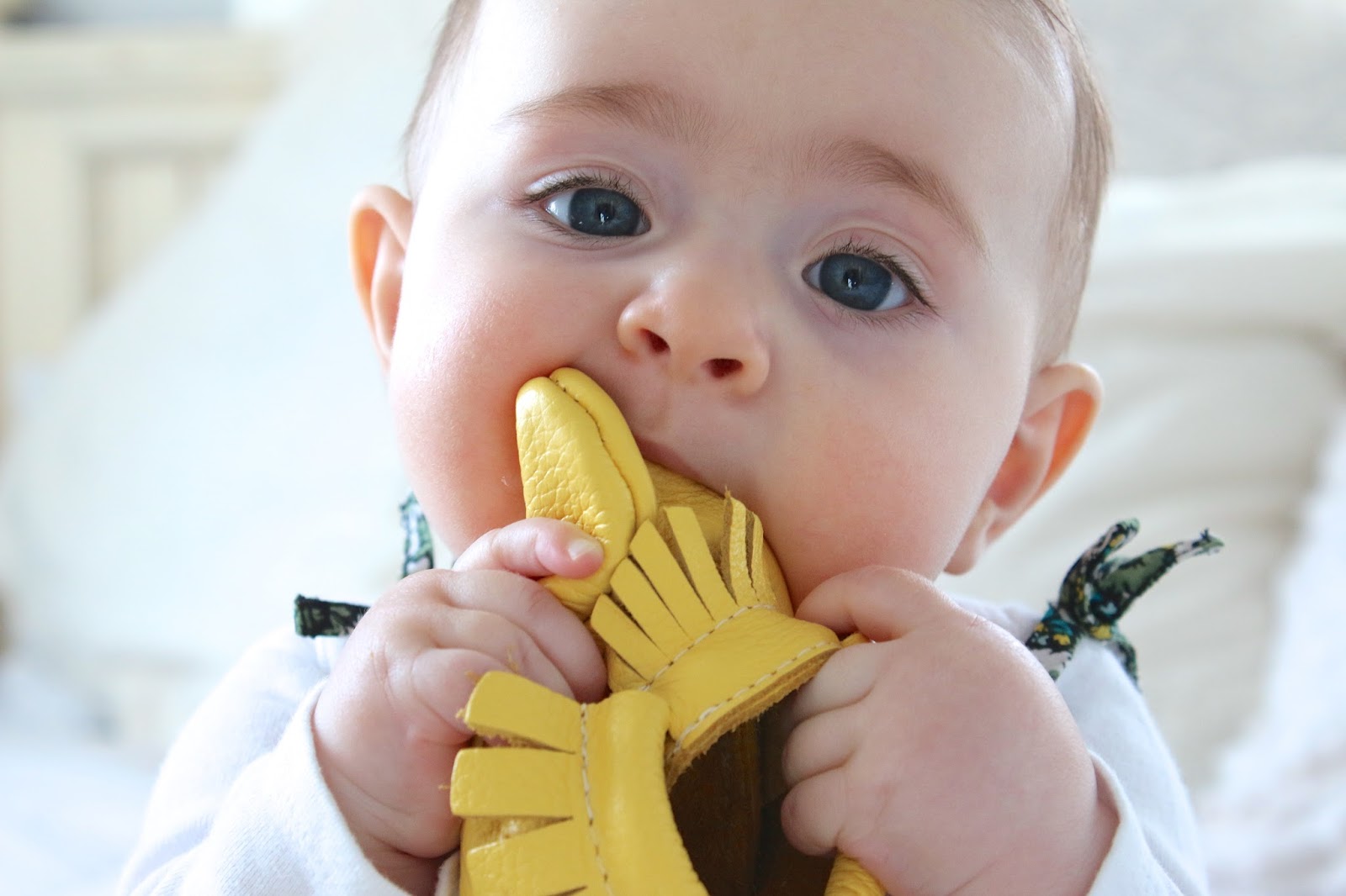 a Freshly Picked Review... Bring on the Moccs!