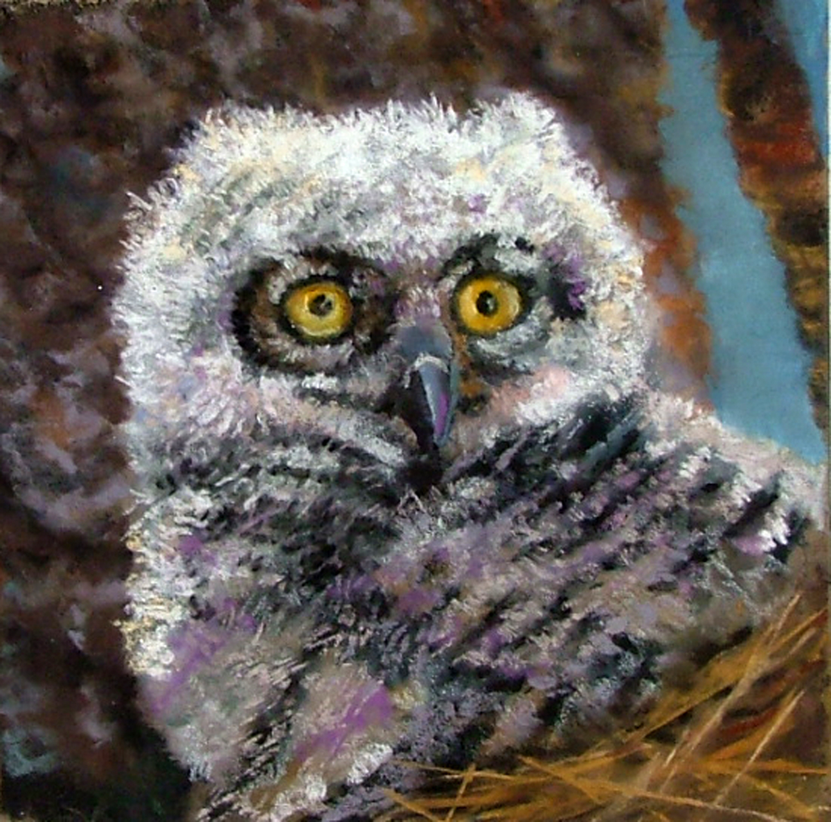 Carol Flatt Art: Baby Owl 8" X 8" pastel on Wallis paper SOLD