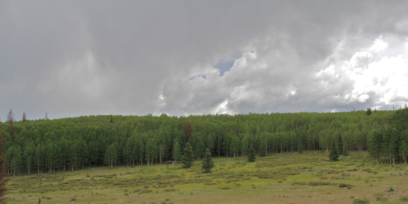Colorado Lifestyle: Bachelor Loop Scenic Drive