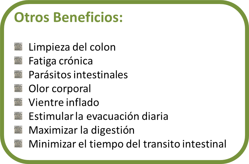 4Life: La Molecula de Vida: Fiber System Plus