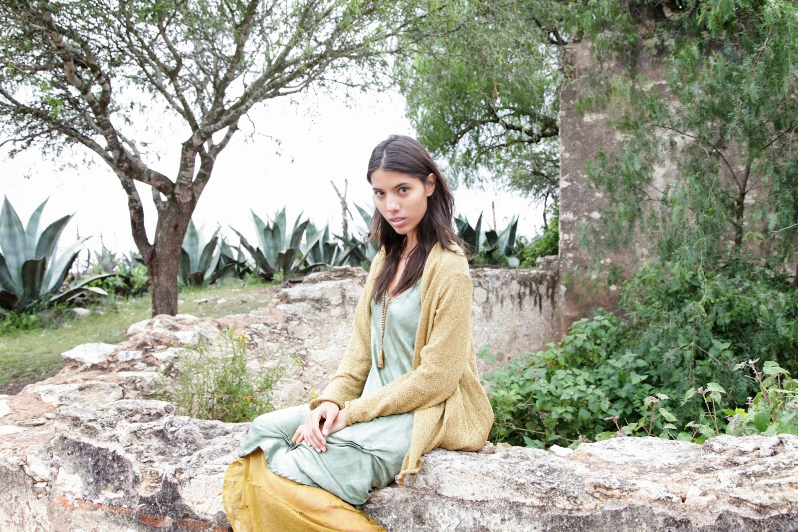 h o m e f r o c k s: ROSA