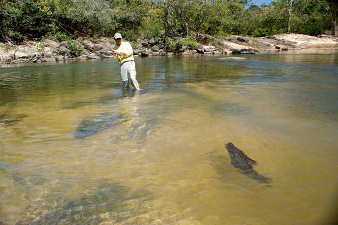 Alessio Freire Pesca Esportiva: Trairão no Fly