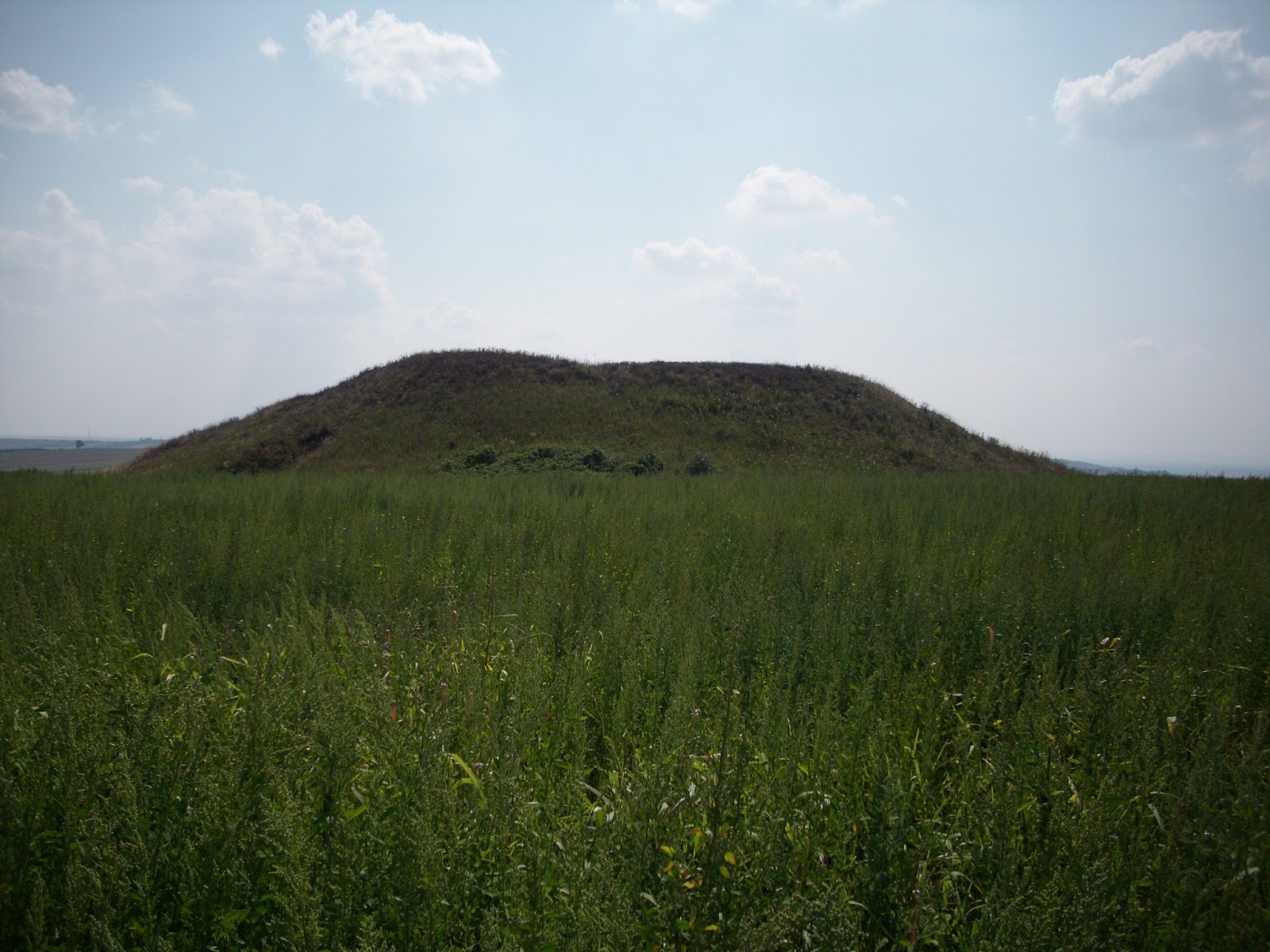 Karnyújtásnyi történelem
