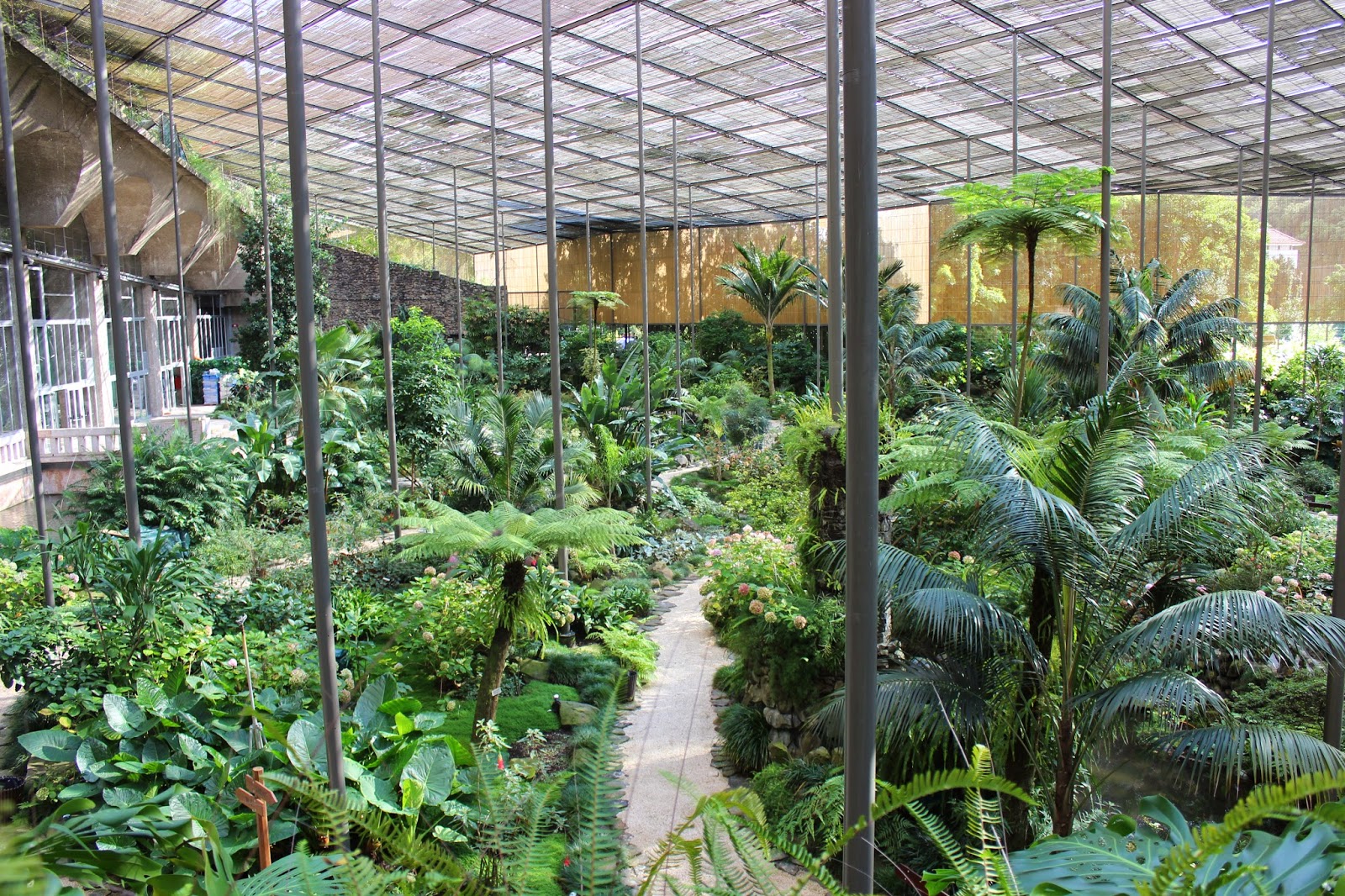 Estufa Fria ~ Um canhoto às direitas