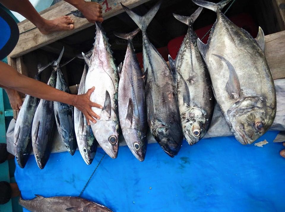 Spot Terbaik Mancing di Padang | Mancing Mania Padang