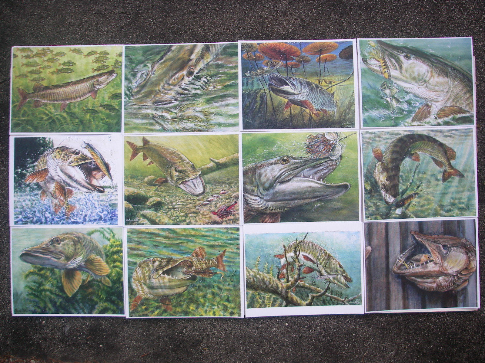 CHARLES WEISS ART: 12 new muskie paintings in mY 2012 cLASSIC mUSKIE ...