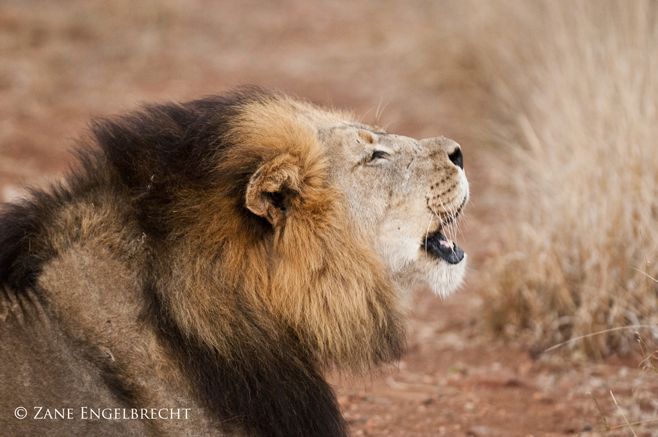 Photography Workshops: June 2012