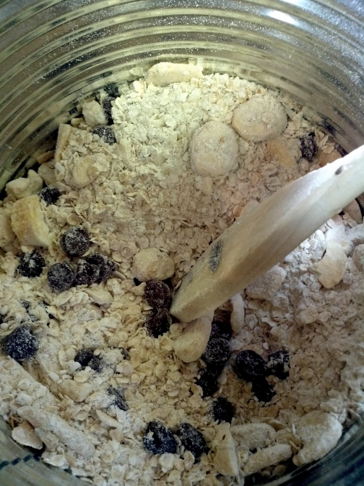 Cooking With My Food Storage: Make Your Own Instant Oatmeal part 2