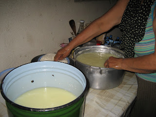 Living Rootless: Rustavi: Levan's Farm