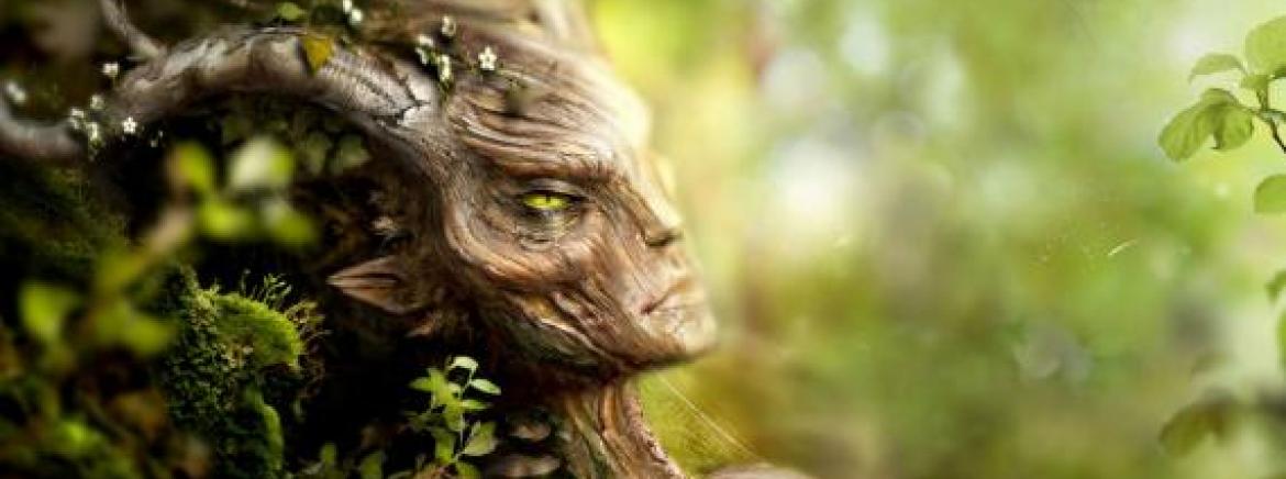 EL NIÑO Y EL CHANEQUE VIEJO (CUENTO DE SOTEAPAN) | SOTEAPAN, VER.