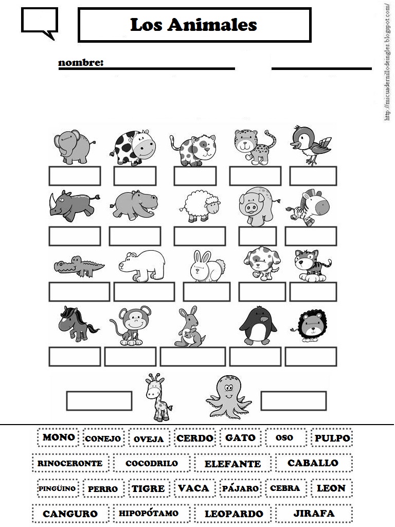 Con "S" final: LOS ANIMALES. EJERCICIO