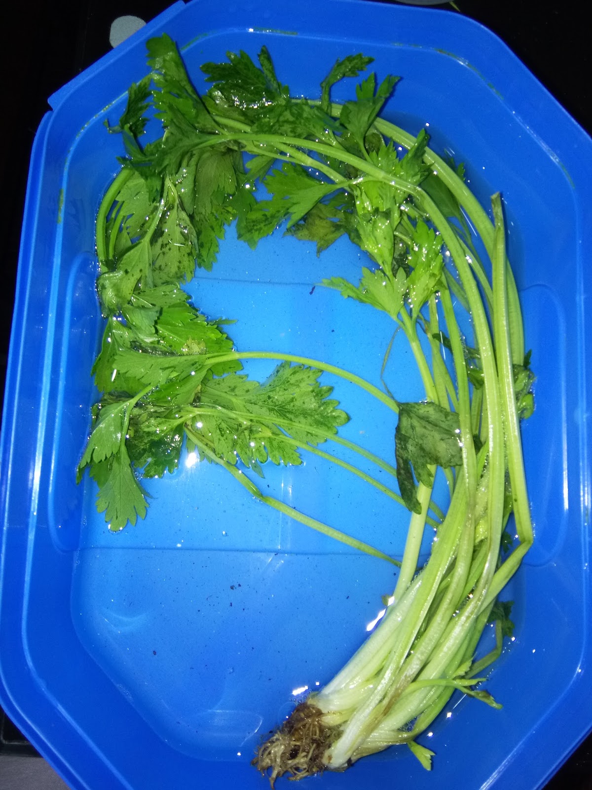 Cara Segarkan Sayur Yang Layu