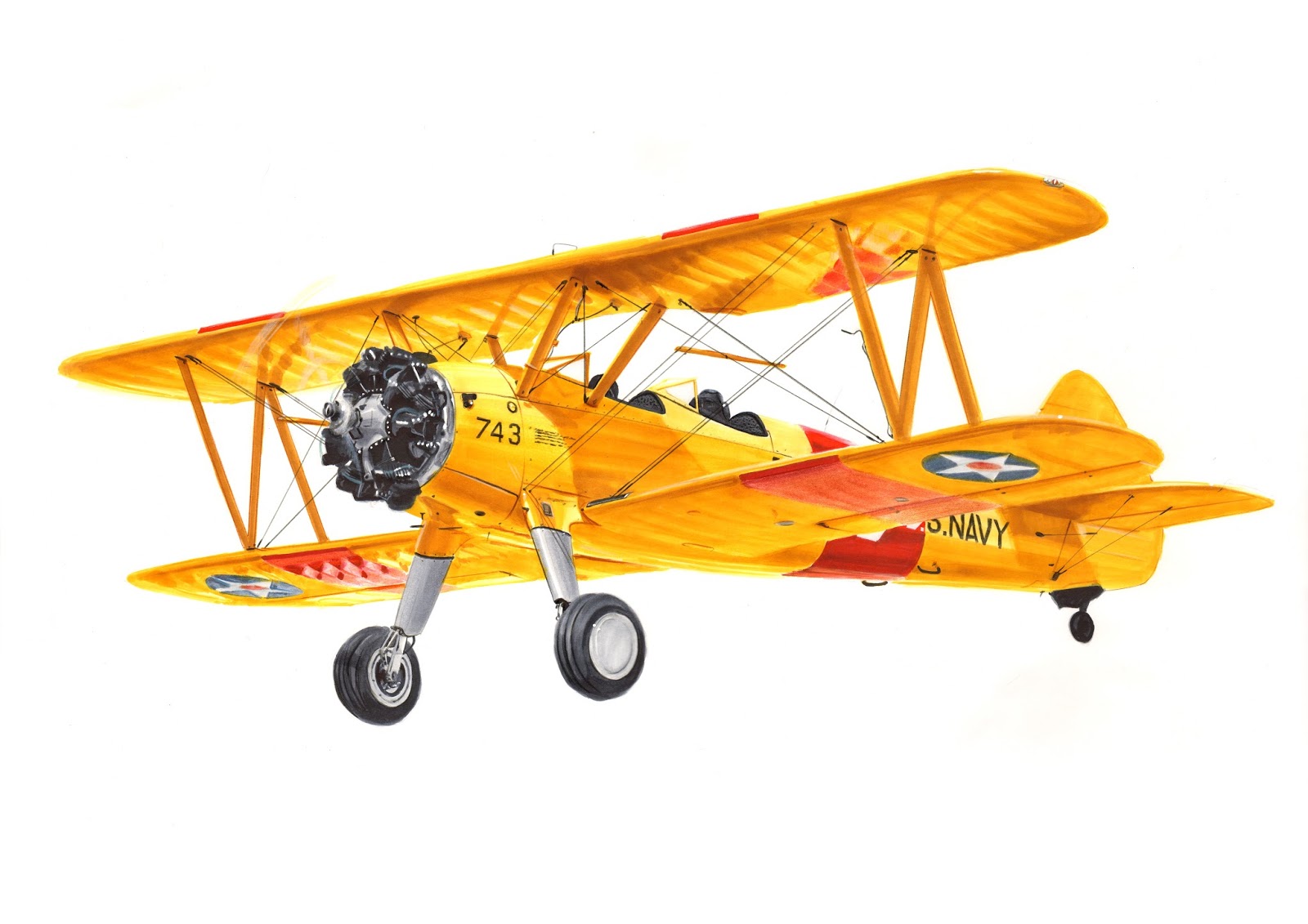 Linner Design: Illustration & Design