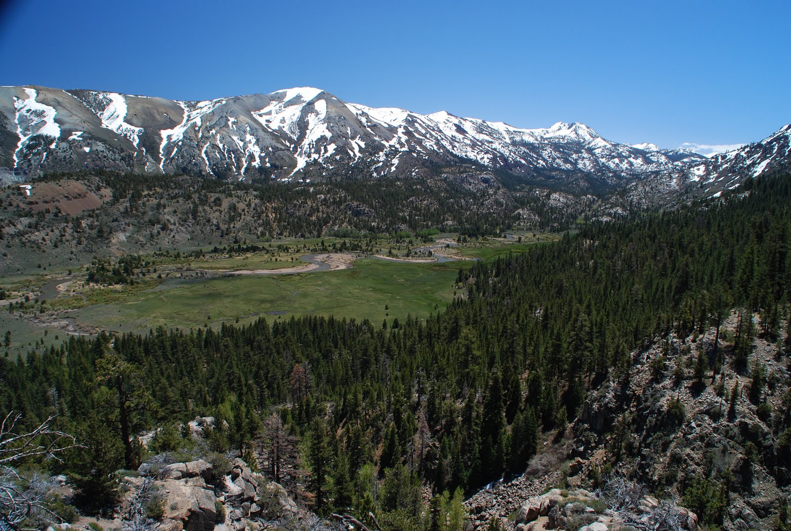 Deserts and Beyond: Sonora Pass~Scenic Sunday~062611