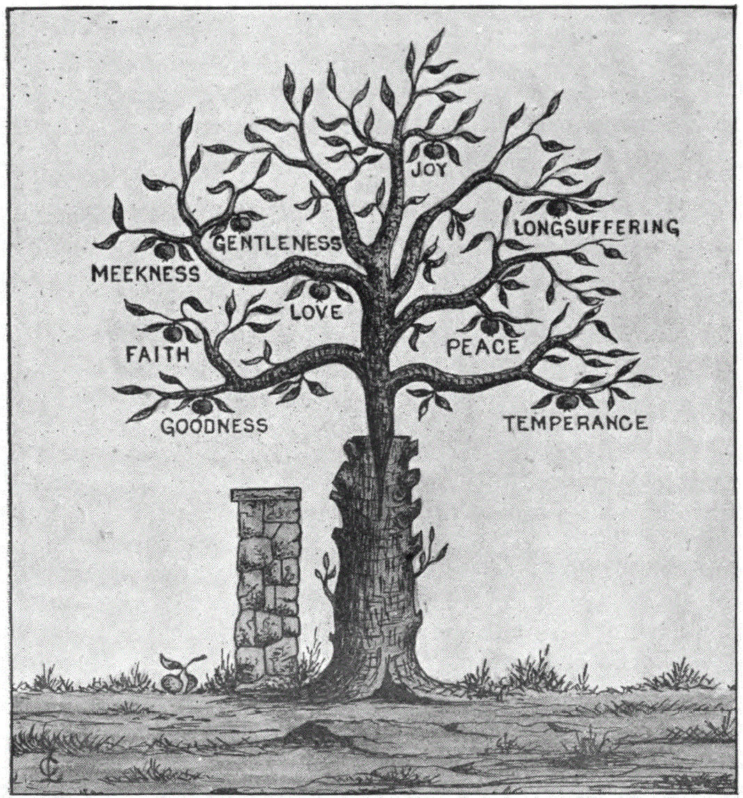 Pontifex Maximus: The Face of Jesus Christ: 2017