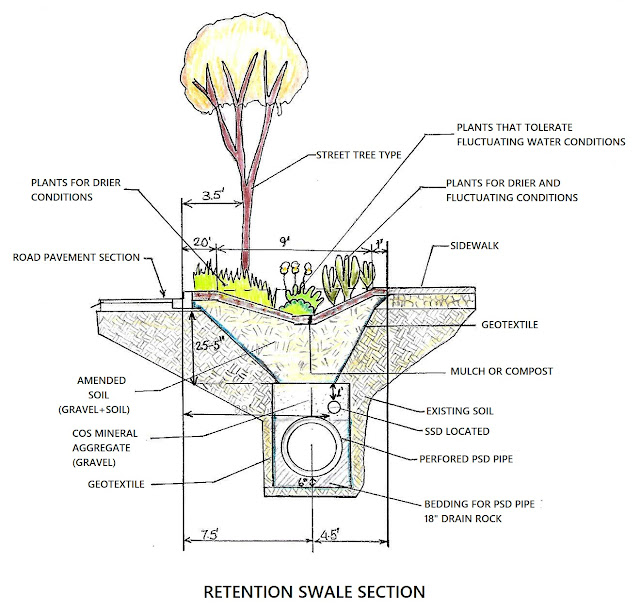 Bioswales in High Point Public Natural Drainage Systems