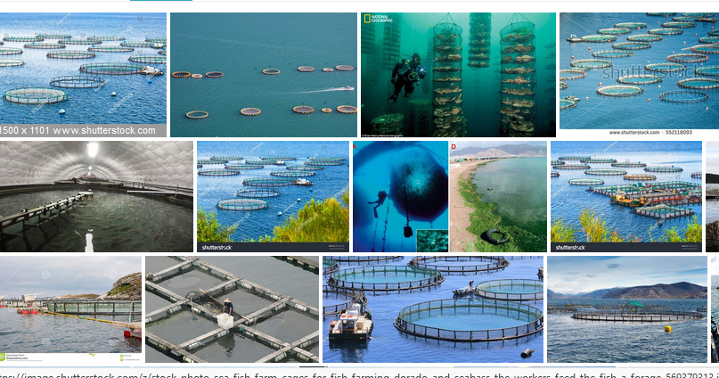 Ocean fish farming; Ocean marine life re-enrichment