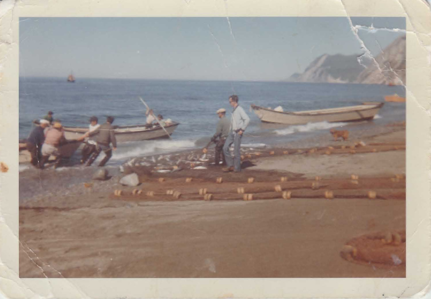 Kodiak Maritime Museum: 7,500 Years of Karluk Sockeye Salmon