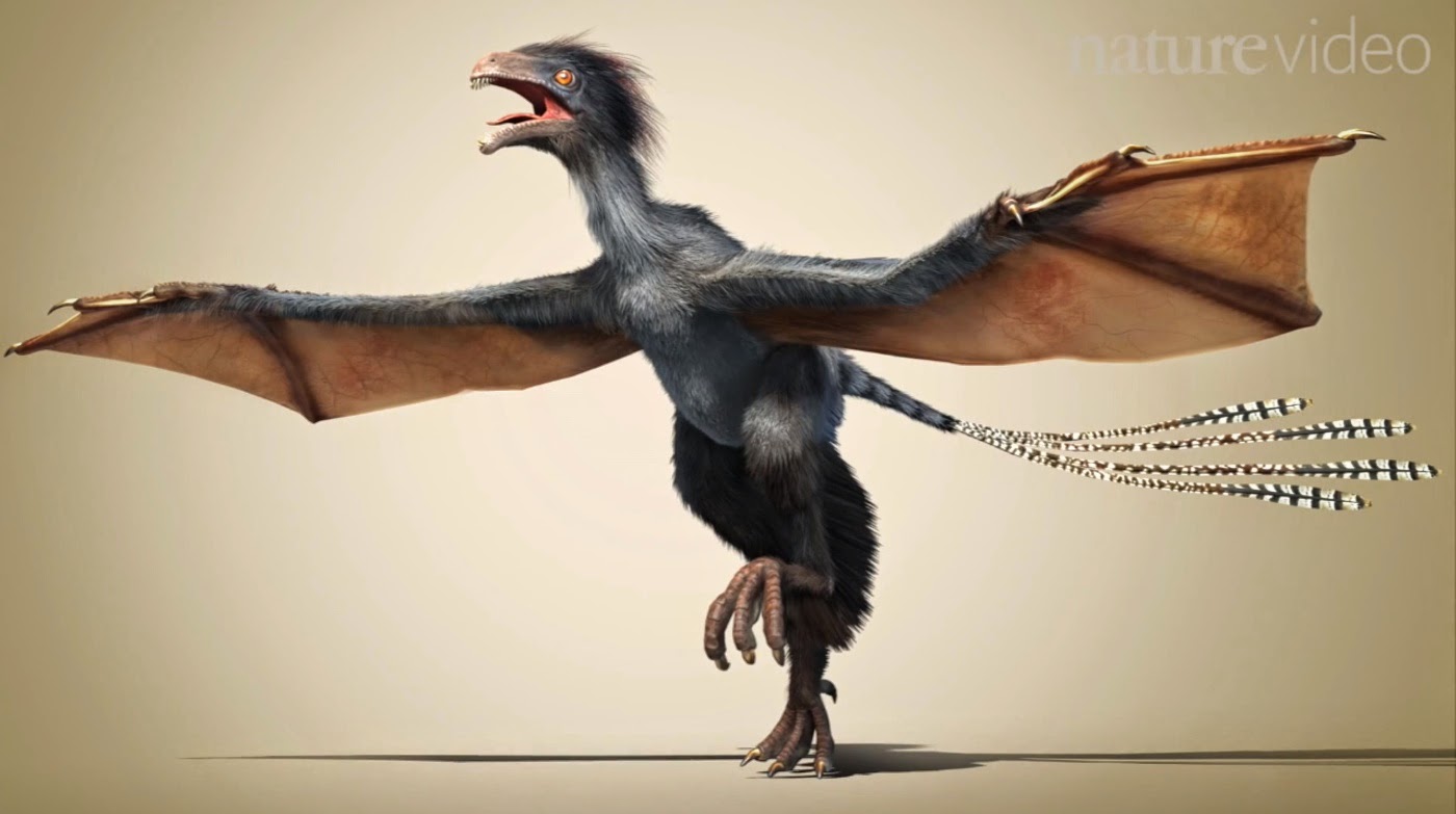 Species New to Science: [Paleontology • 2015] Yi qi • A Bizarre ...