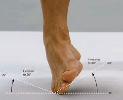 The Murphey Saga: Sunday Stroke Survival: Dry Needling- The New Hope