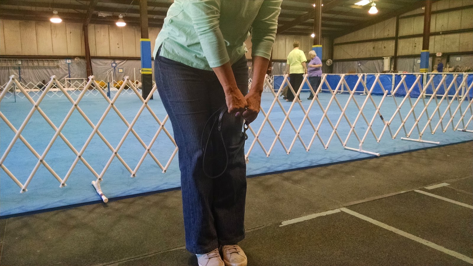 Retriever Training Program: HOMEWORK Week 2: The Sit and the 3 turns