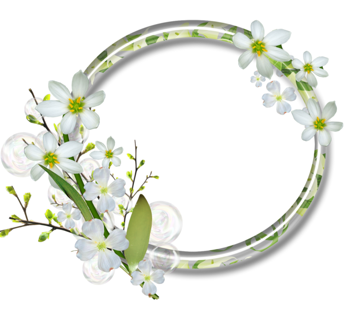 ForgetMeNot: spring frames