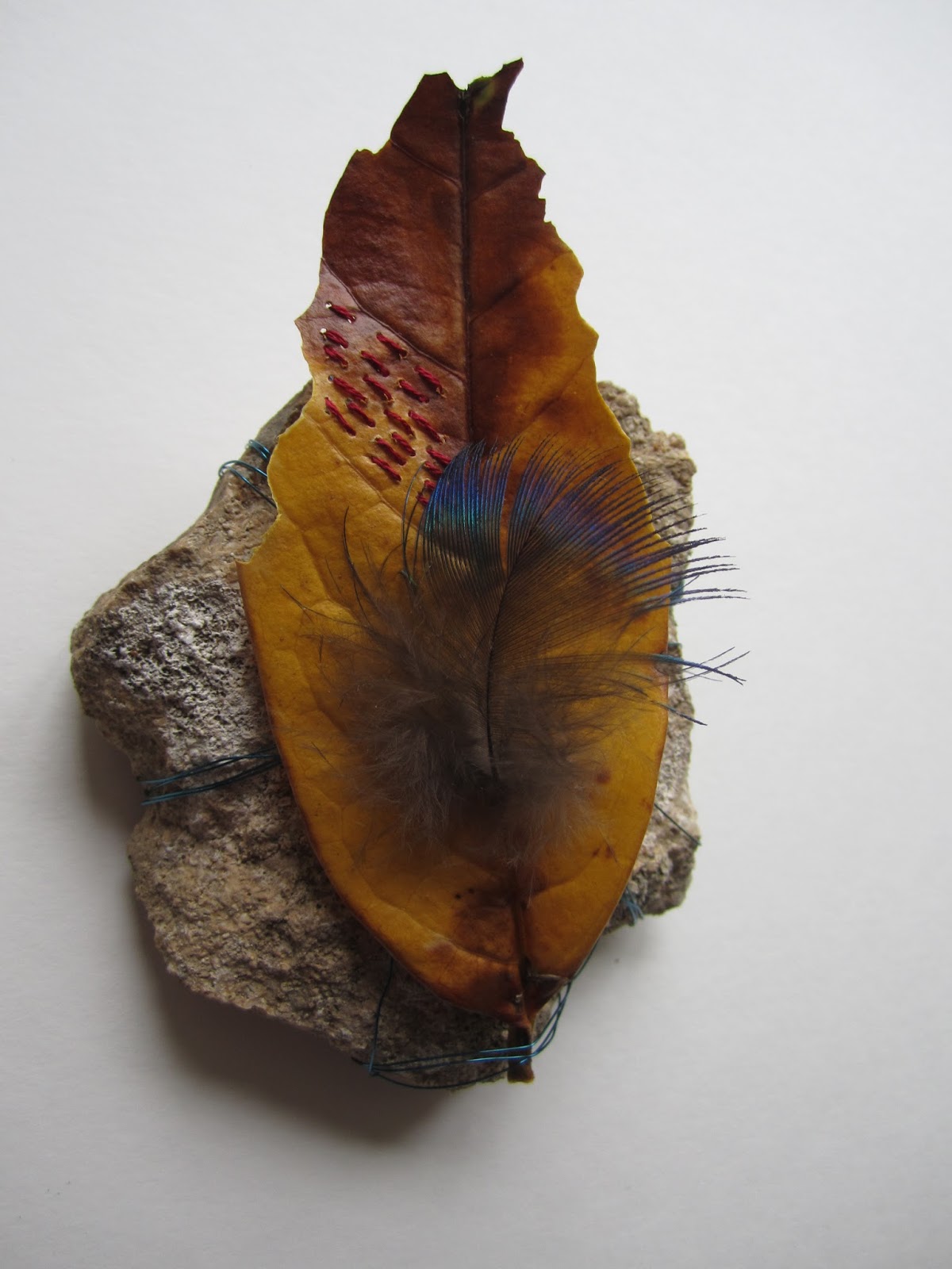 Louise Watson - Textile Artist: Found feathers- like surprise gifts.