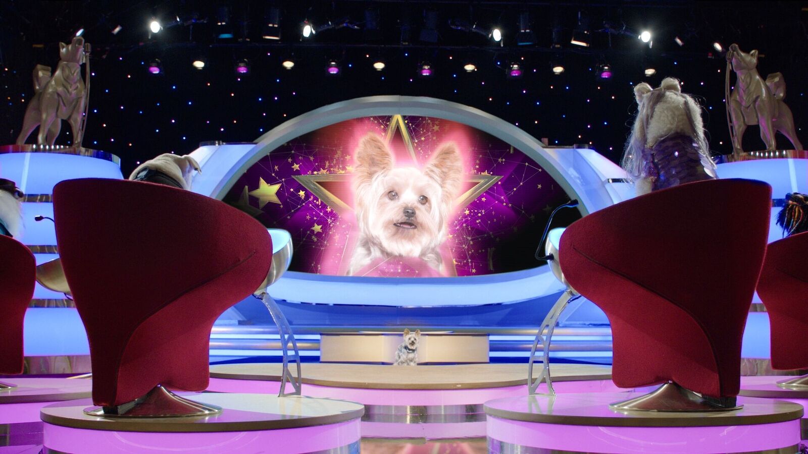 A GEEK DADDY: PUP STAR debuts on FandangoNOW -- August 30, 2016