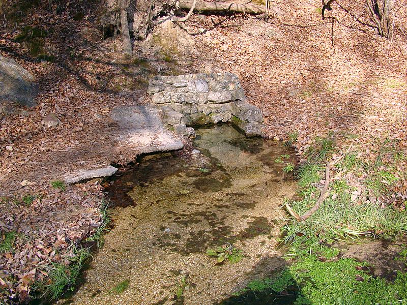 I, too, am here: Chalybeate Water: Loaded with Minerals?